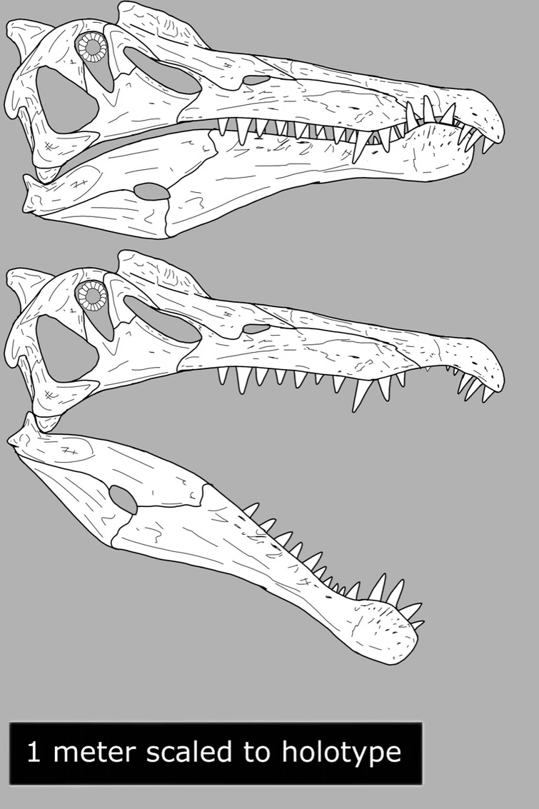 Discuss Everything About Dinopedia | Fandom