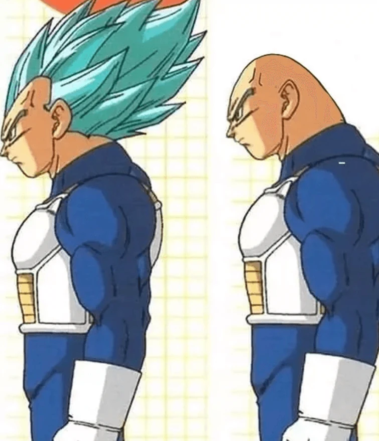 Vegeta without hair | Fandom