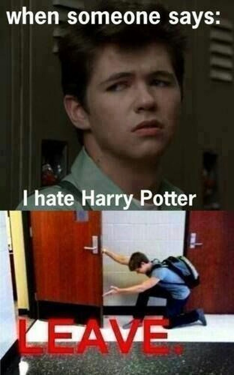 Just my immense collection of HP memes | Fandom