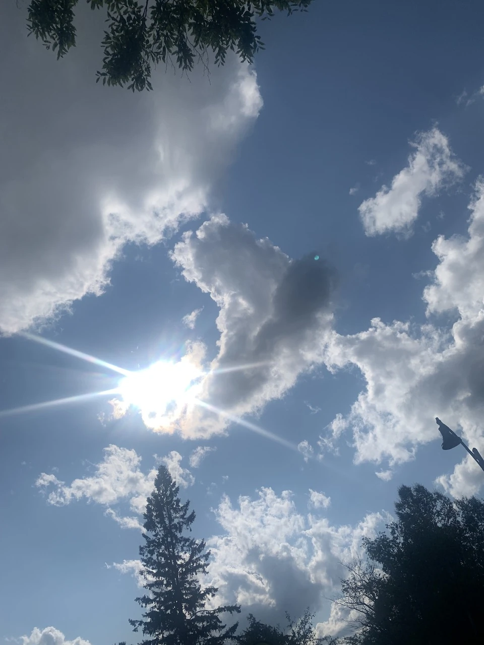 fetus shaped cloud | Fandom