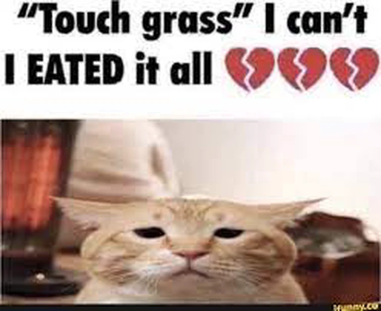 BRUHHH WHERE THE SKIBIDI FANOM TAX RIZZ IS THE LSS EVENT 😭😭😭 | Fandom