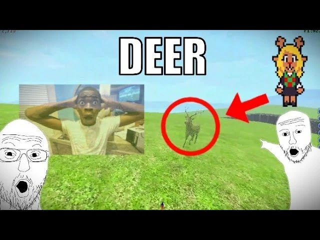 Deer 🗿 | Fandom