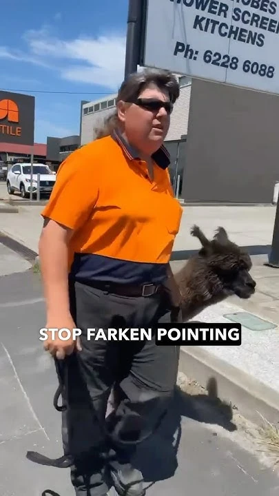 Most normal interaction in Australia | Fandom