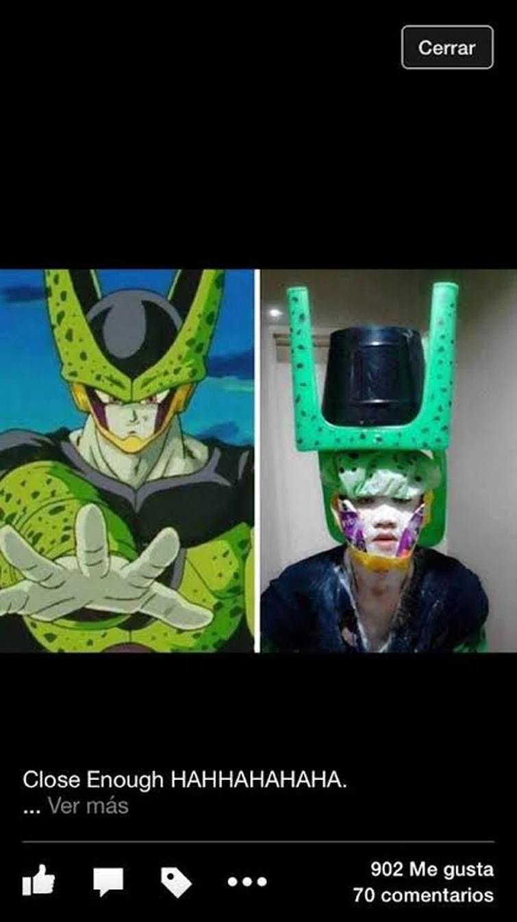 Worst Dragon Ball Cosplay | Fandom