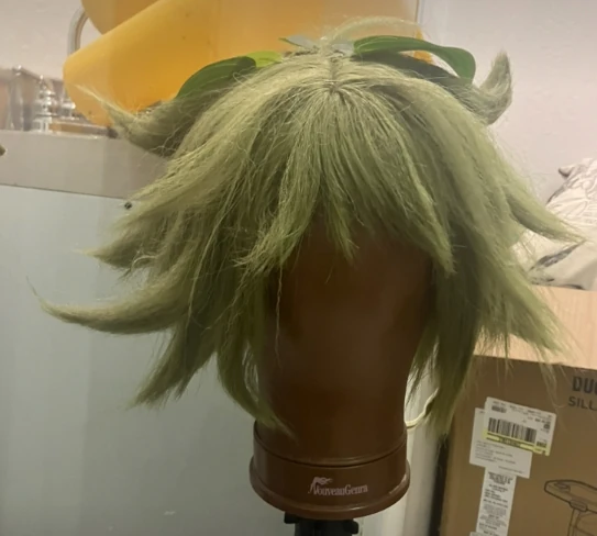 Sprout cosplay wig :^ | Fandom
