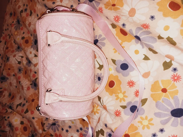WHAT I KEEP IN MY PURSE! (Re-put up lol) | Fandom