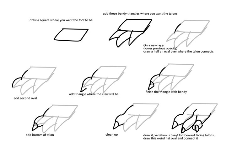 How to draw talons | Fandom