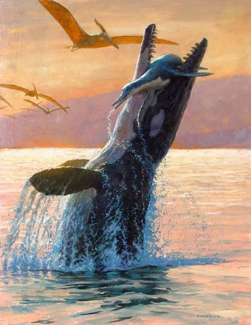 Since, Mosasaurs likely hunted like Orcas, they may have had similar ...