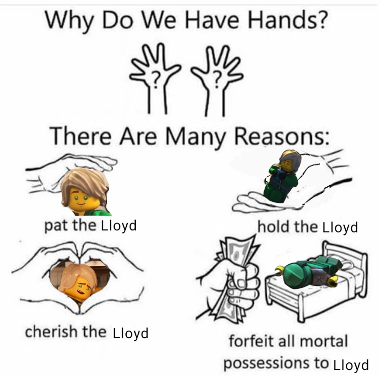 Lloyd meme | Fandom