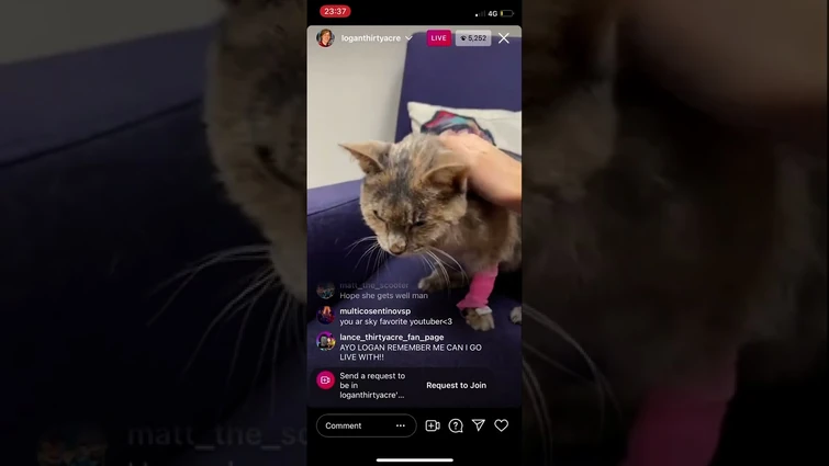 Precious is DEAD? | Fandom