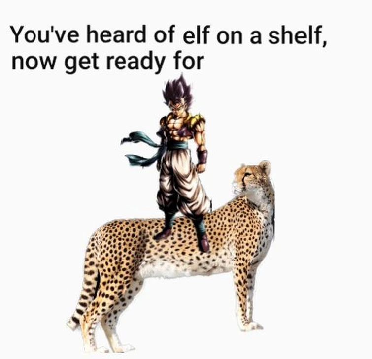 more db memes | Fandom