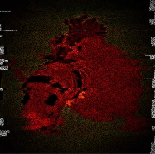 What's dis? | Fandom