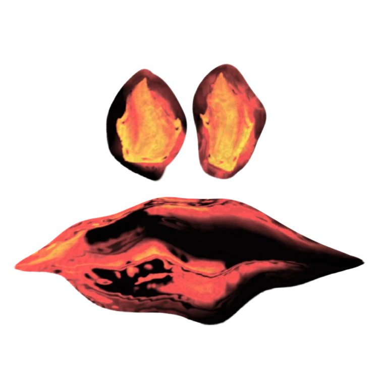 A-60 Gore Face but Roblox Friendly | Fandom