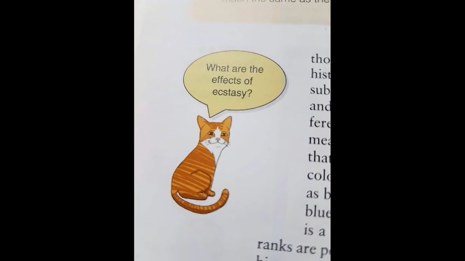 petition to call the split plush "splip" | Fandom