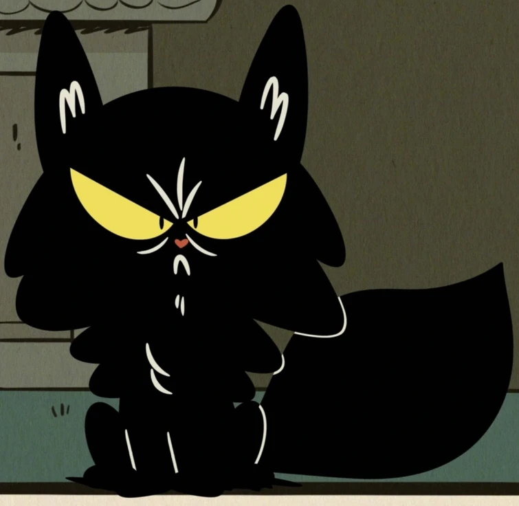 Is the Kitty from The Loud House’s “Kings of the Con” a Scrappy? | Fandom