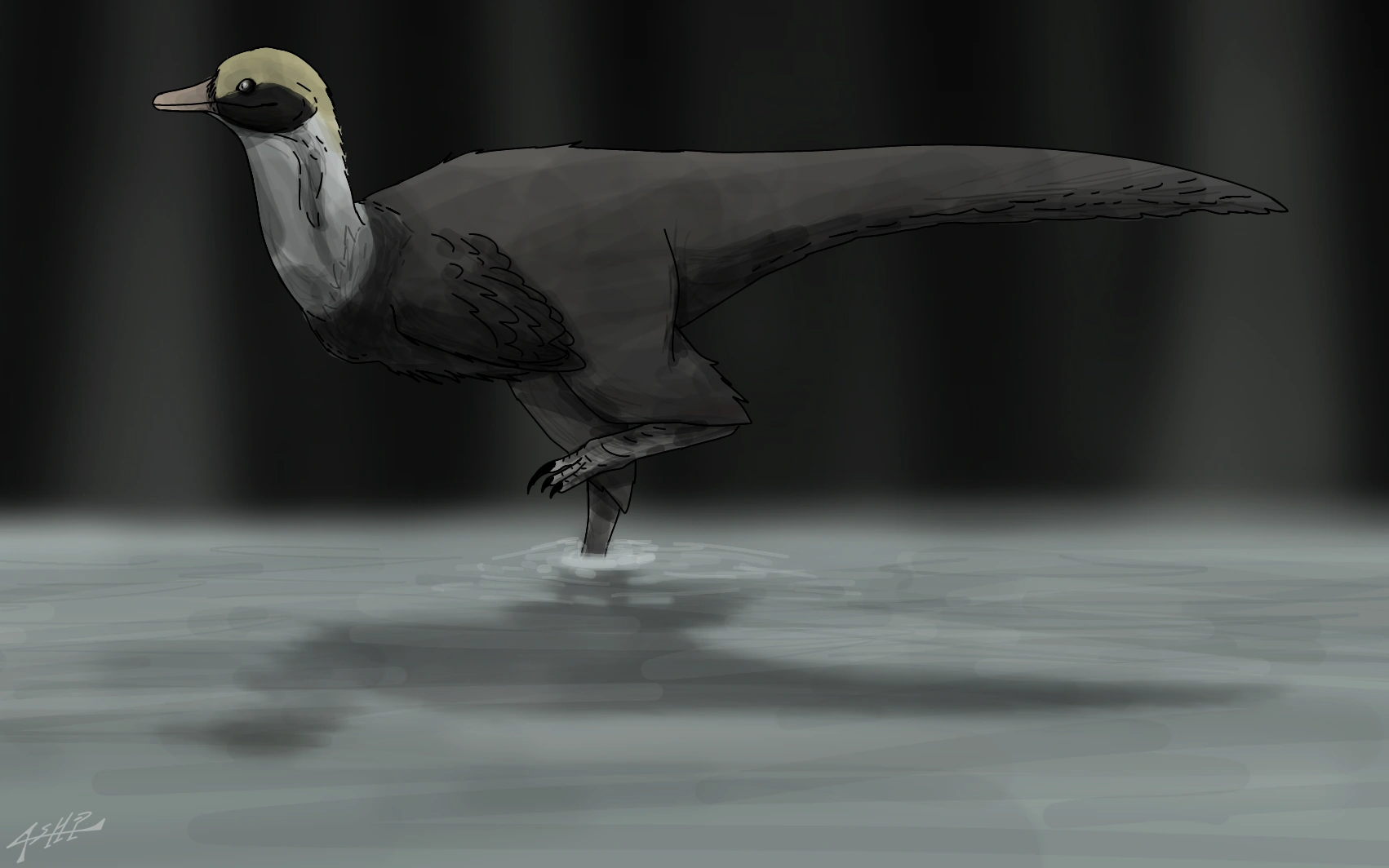 Halszkaraptor escuilliei drawing | Fandom