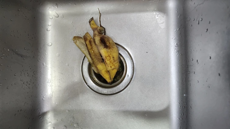 Discuss Everything About Regretevator Wiki | Fandom