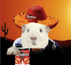 Free Dorito merch 🥶 | Fandom