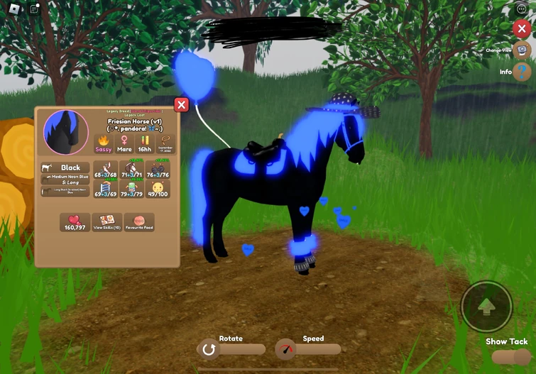 Discuss Everything About Wild Horse Islands Wiki | Fandom