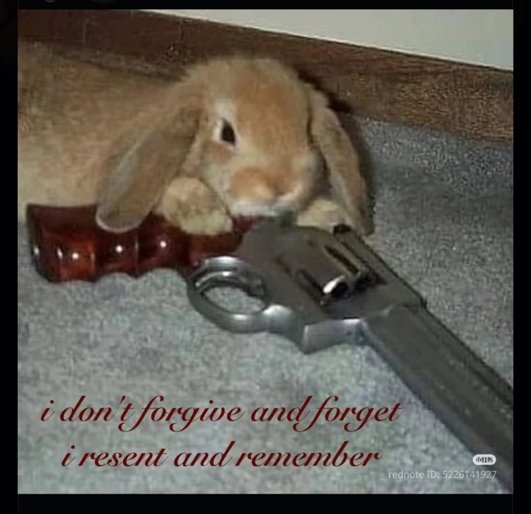 The illusion of living | Fandom