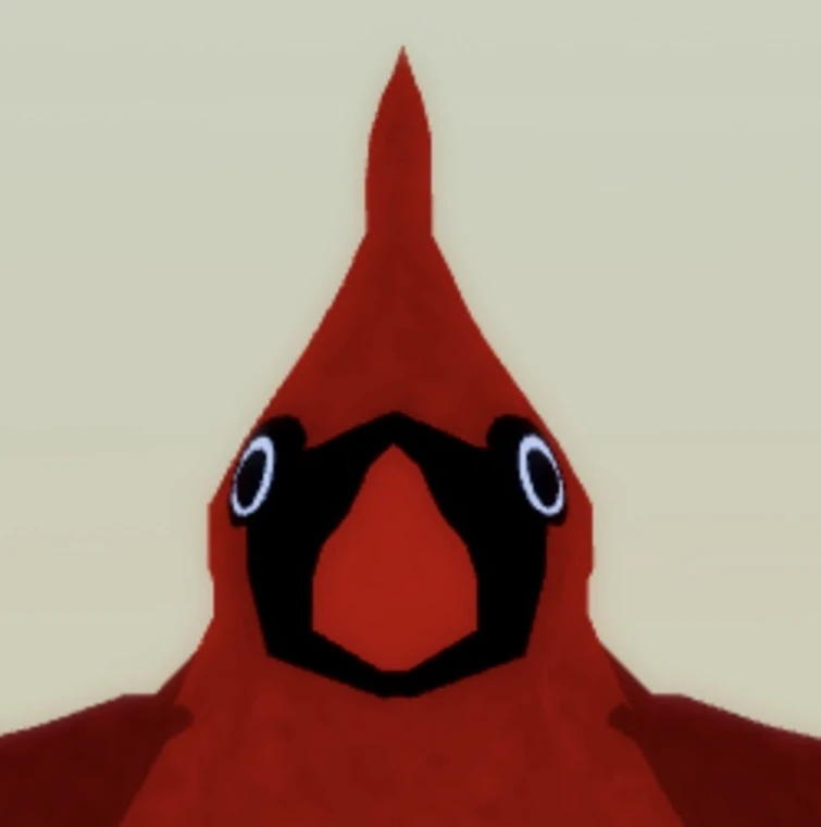 Discuss Everything About Feather Family Wiki | Fandom