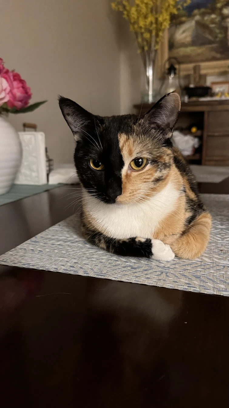 BE MORE FUNNY | Fandom