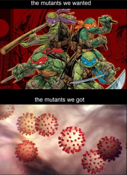 TMNT Meme Of The Day | Fandom