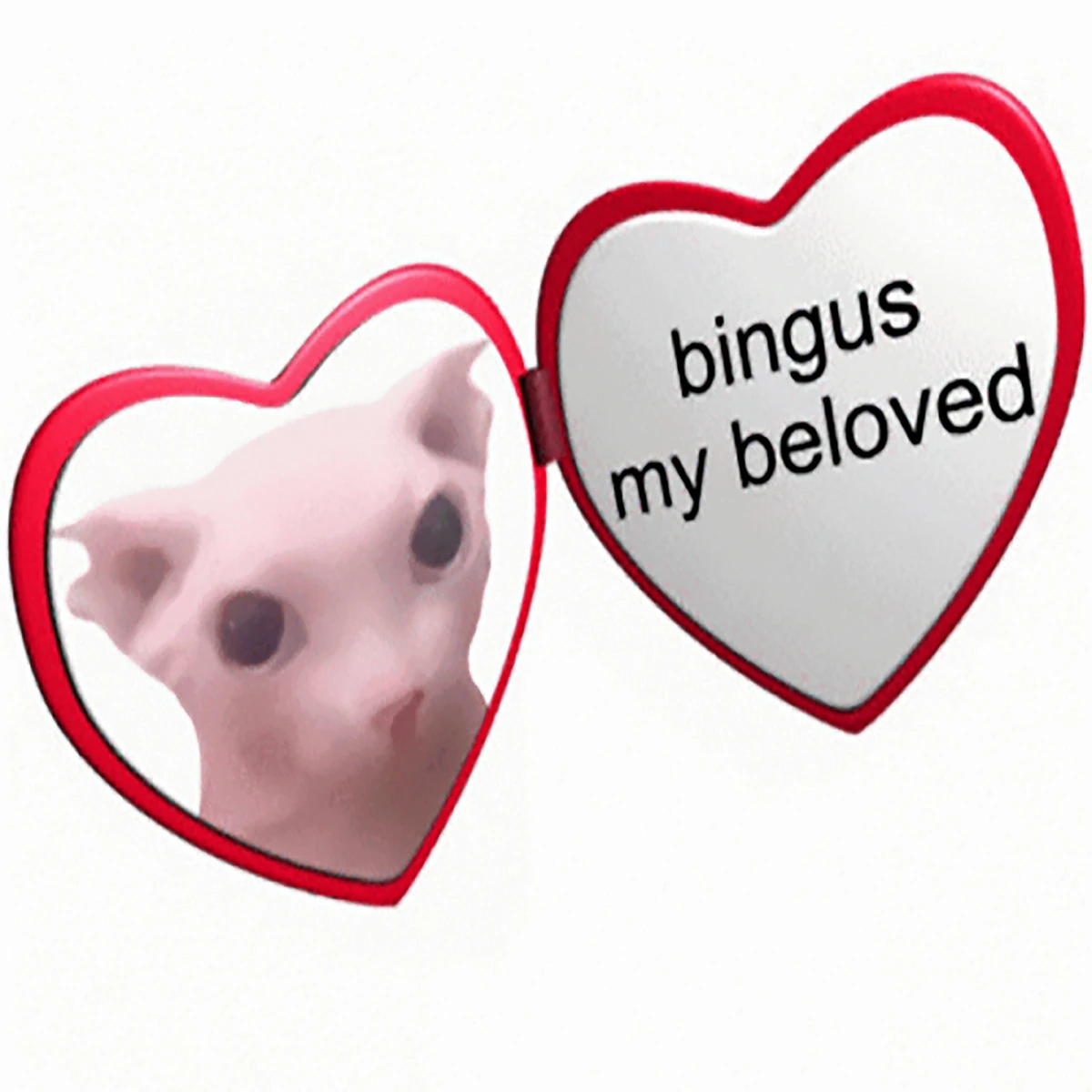 ahh, my beloved bingus. | Fandom