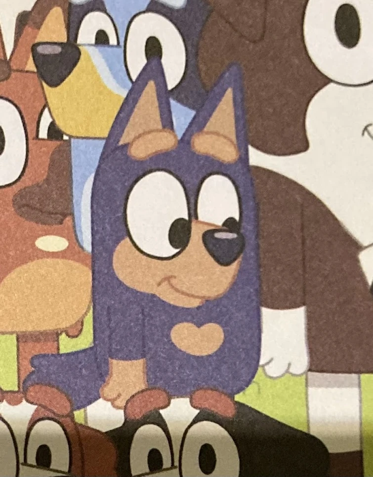 Discuss Everything About Bluey Wiki | Fandom