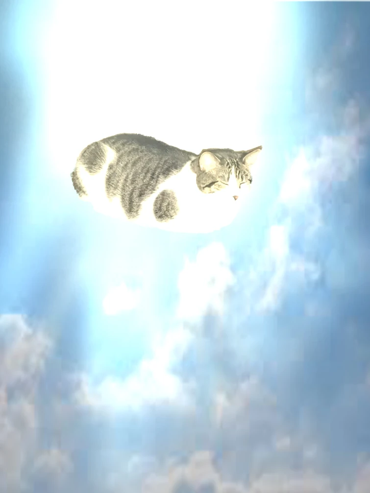 redrawing me and my cat as princess and hyperlaser pt1 or smth | Fandom