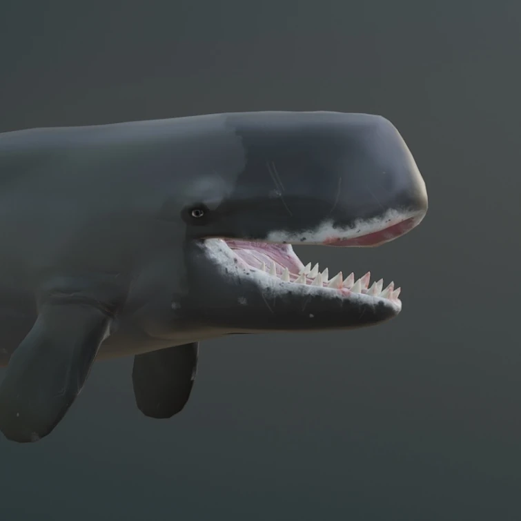 Discuss Everything About Oceanic (ROBLOX) Wiki | Fandom
