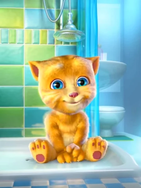 Why does talking ginger's bathroom looks different in the old verisons ...