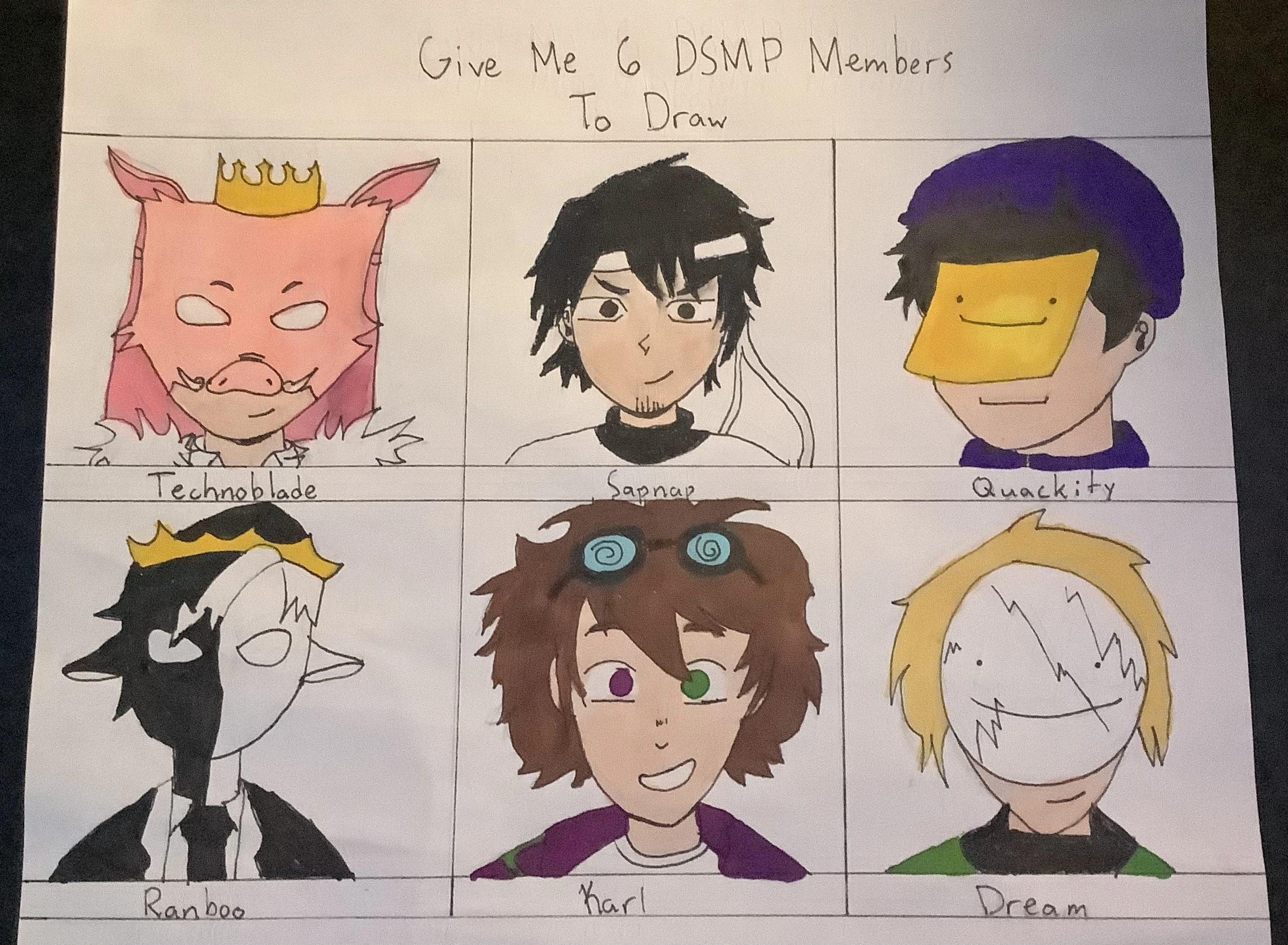 Asked My Friends for 6 DSMP Members… | Fandom