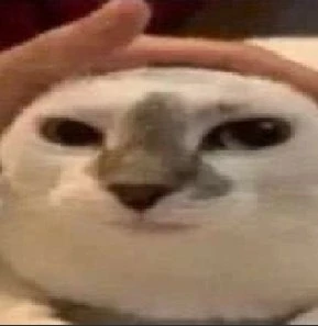 Swapping tb iuh | Fandom