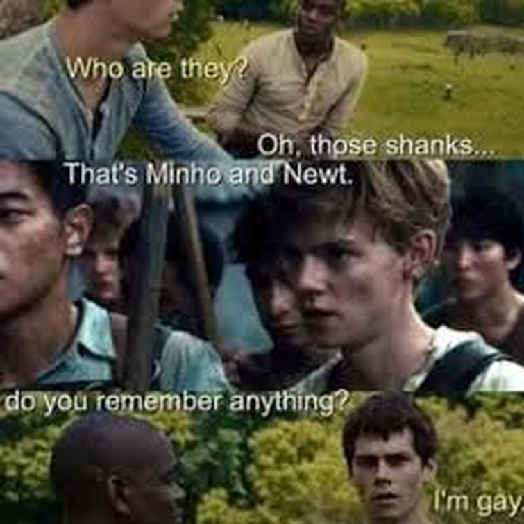 Maze runner memes | Fandom