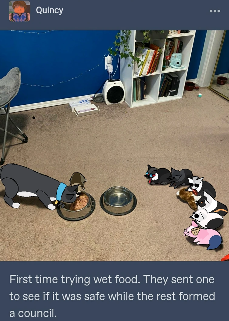 Discuss Everything About Doodle World Wiki | Fandom