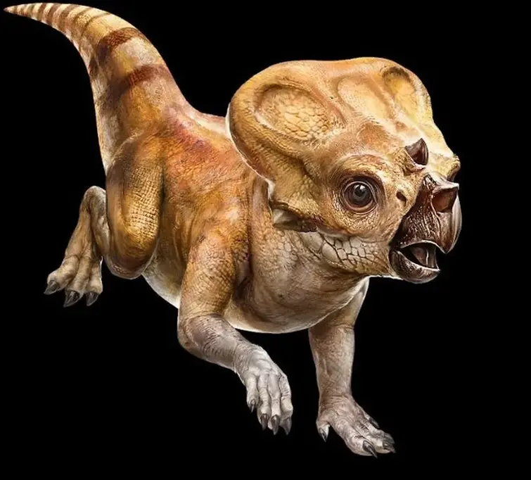 New Rebirth Images!!! | Fandom