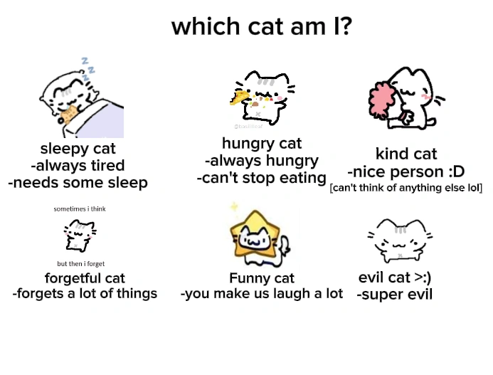 idk what to do so uhh what cat am i | Fandom