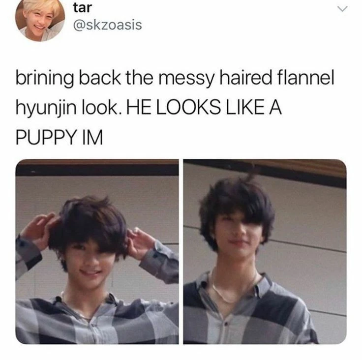 Skz memes for your daily dose of uwu | Fandom