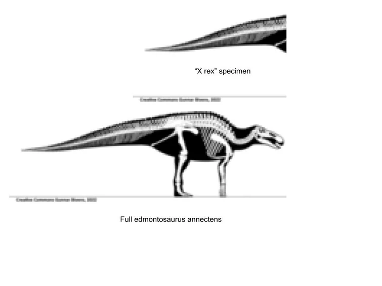 First attempt at making a size comparison with actual scaling | Fandom