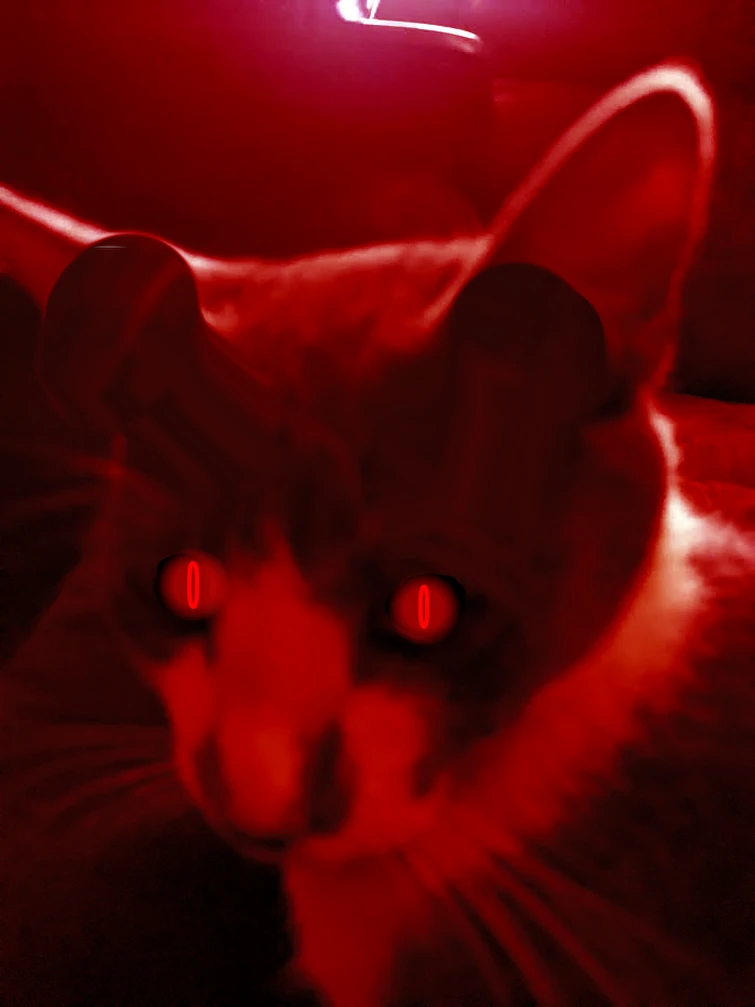 Boy why you so gnarp gnap? | Fandom