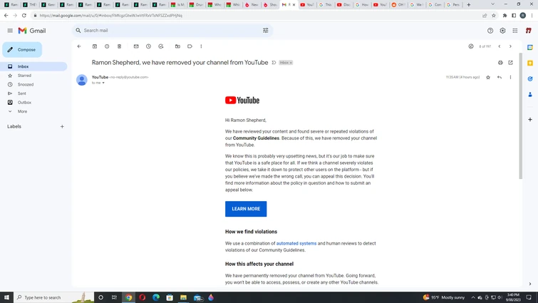 I Got Three Community Guidelines Strikes! | Fandom