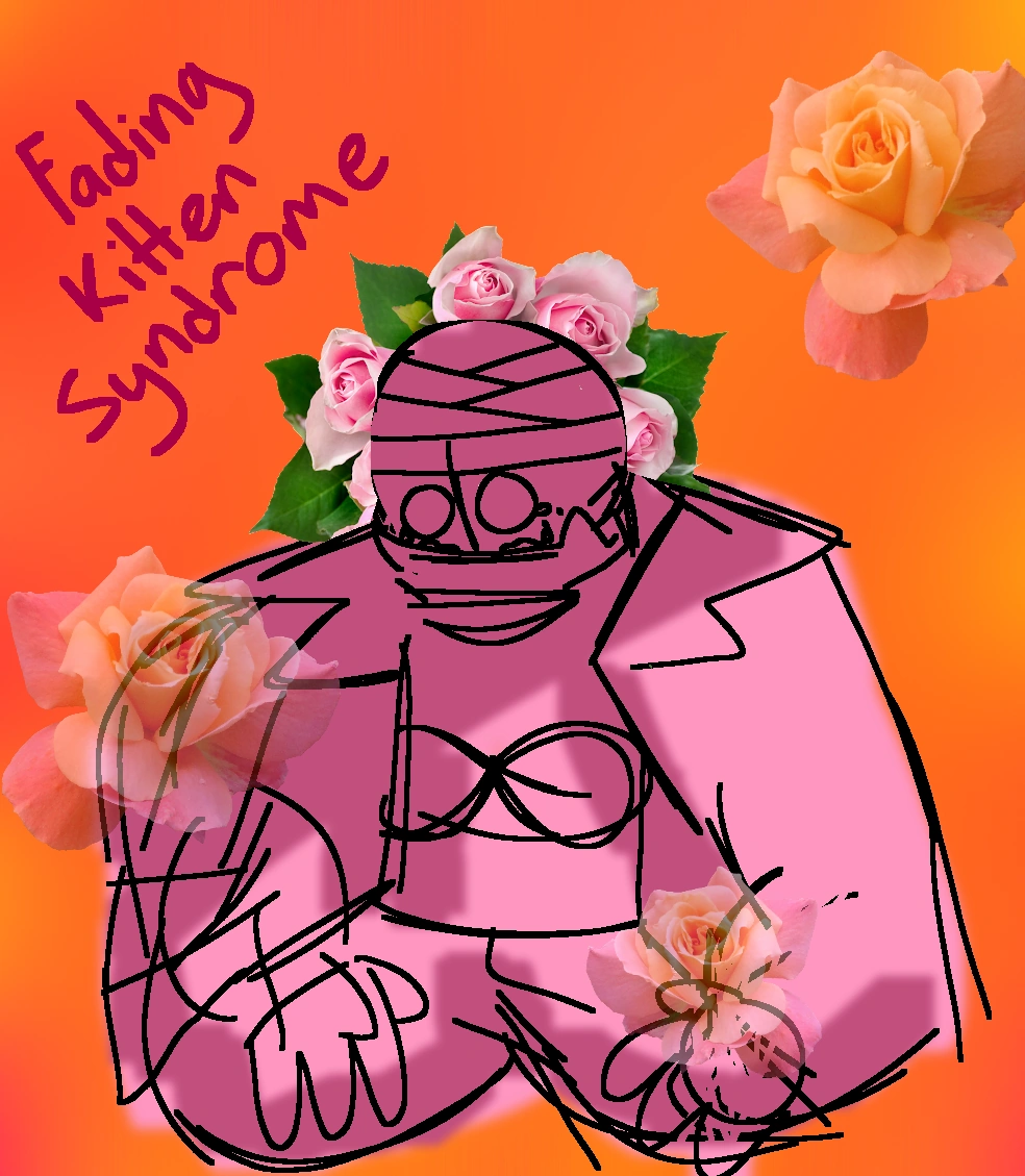 yancom hank | Fandom