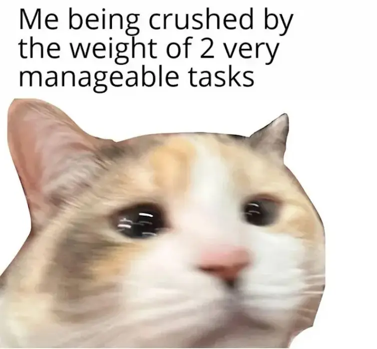 google iranian intermezzo for more info ⓘ | Fandom