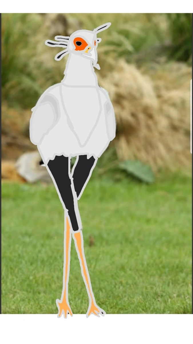 I MADE A SECRETARY BIRD | Fandom