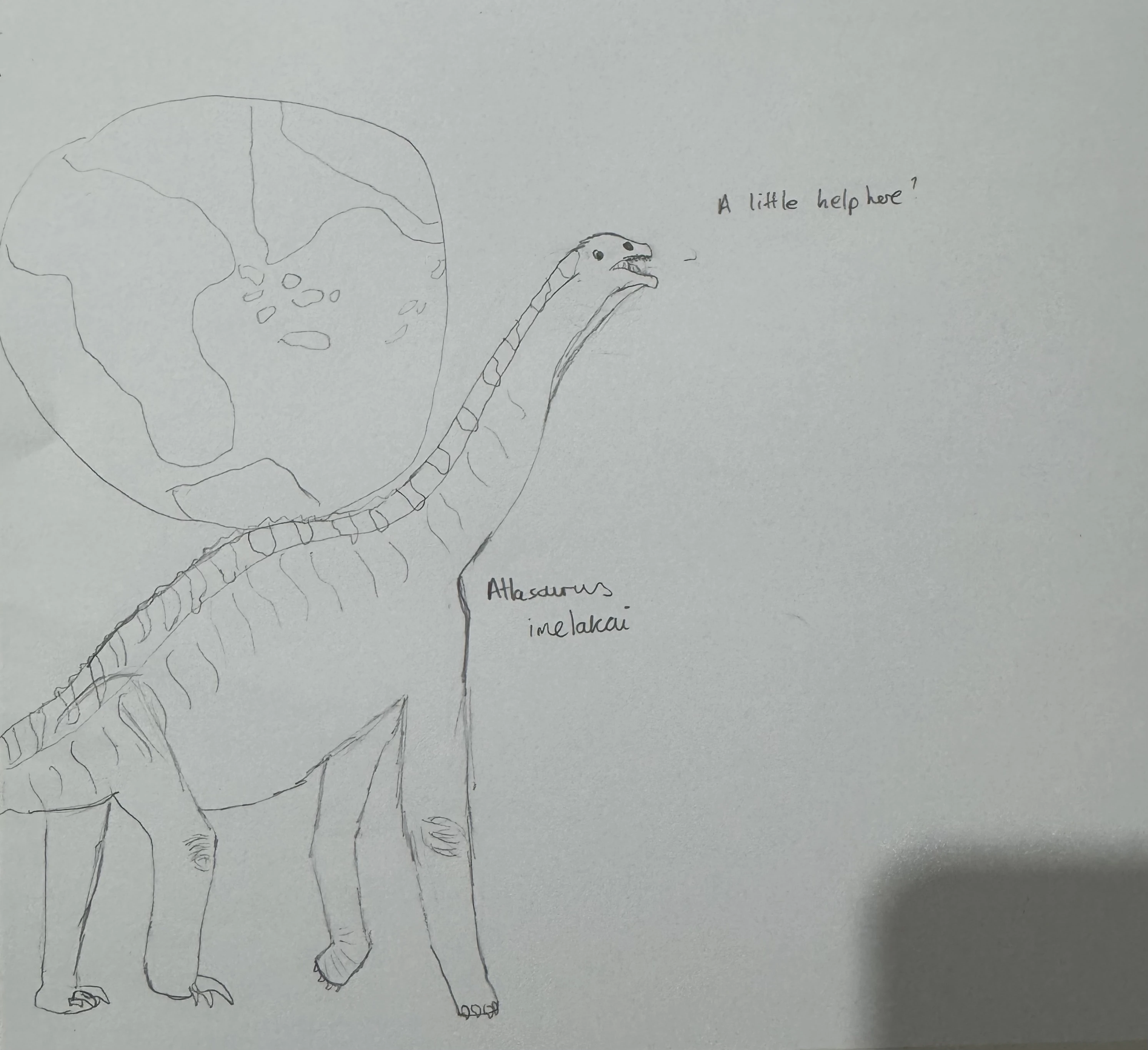 Dinopedia rates the accuracy of my Atlasaurus drawing | Fandom