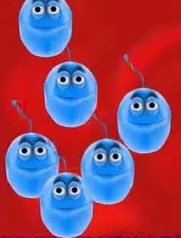 Discuss Everything About Talking Tom & Friends Wiki | Fandom