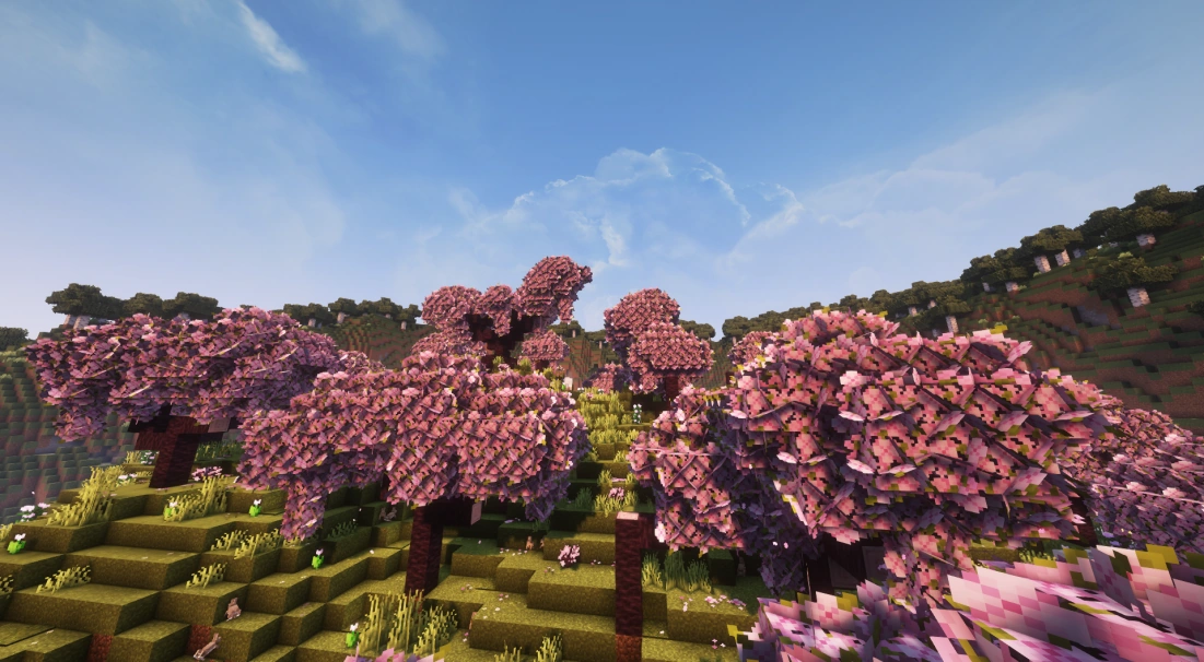Cherry Blossom Island | Fable SMP Wiki | Fandom