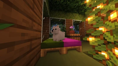 Connor | Fable SMP Wiki | Fandom