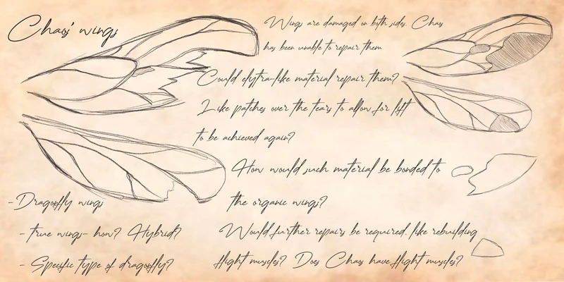 Elytra | Fable SMP Wiki | Fandom